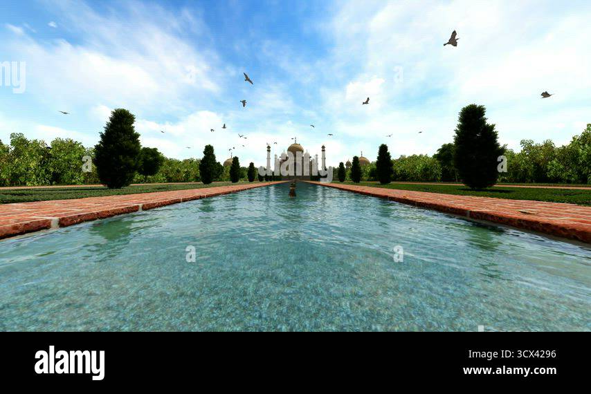 Seagull flying over Taj Mahal,India Stock Video Footage - Alamy