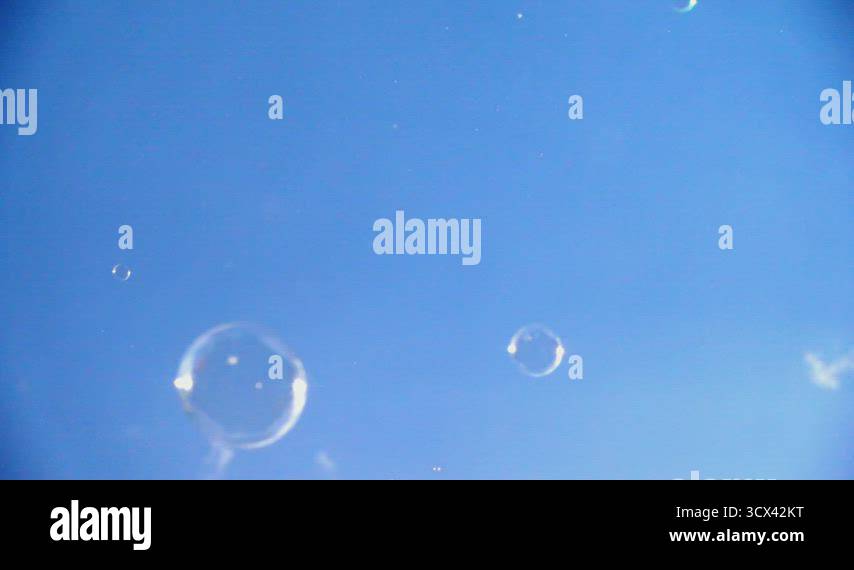Soap bubbles overhead Stock Videos & Footage - HD and 4K Video Clips ...