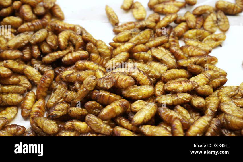 Thailand street food fried larva Stock Videos & Footage - HD and 4K ...