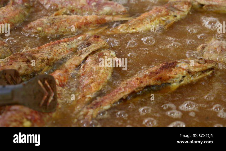 Close up cooking deep fried red mullet fish in oil Stock Video Footage ...