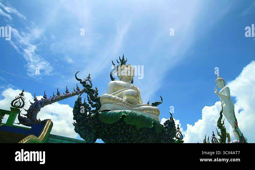 Pearl buddha sit on lilly pad with white cloud background Stock Video ...