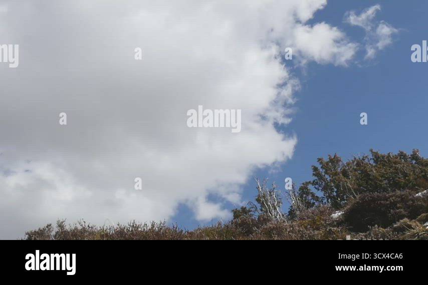 woman hiker with backpack walking a trail in mountains in slow motion ...
