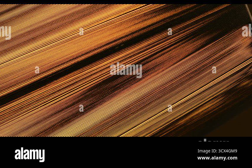 Abstract color cloth Texture Stock Video Footage - Alamy