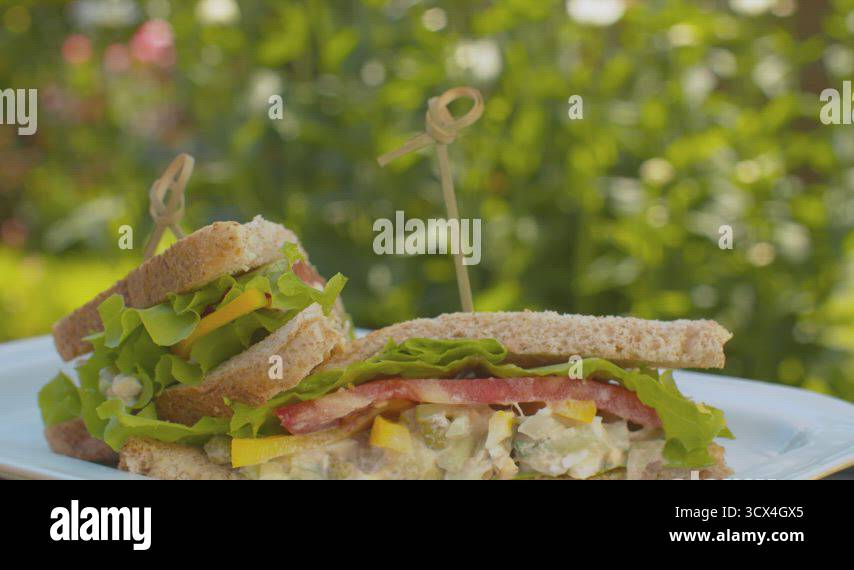 Close up club sandwiches Stock Videos & Footage - HD and 4K Video Clips ...