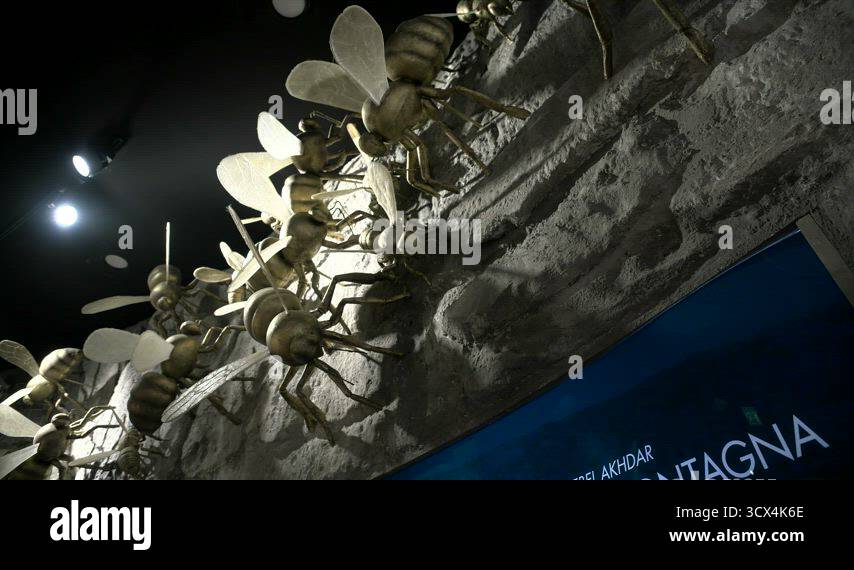 Bees sculpture in Oman pavilion at Expo Milano 2015 Stock Video Footage ...