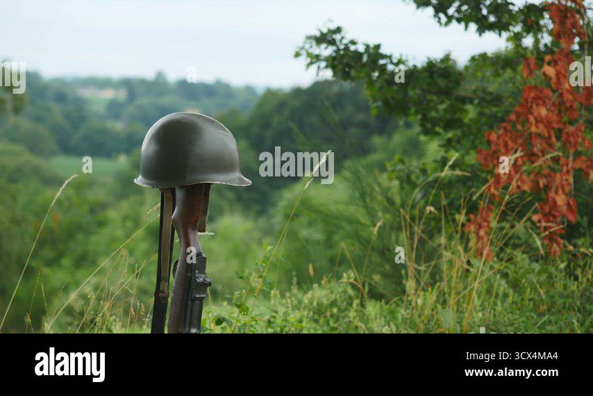 Historical liberation symbol Stock Videos & Footage - HD and 4K Video ...