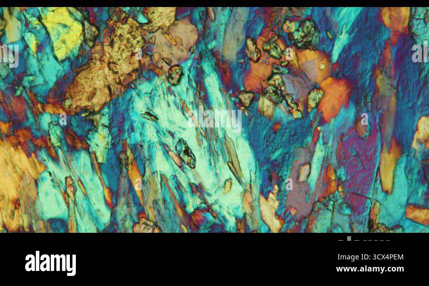 Chlorite slate rock section under the microscope Stock Video Footage ...