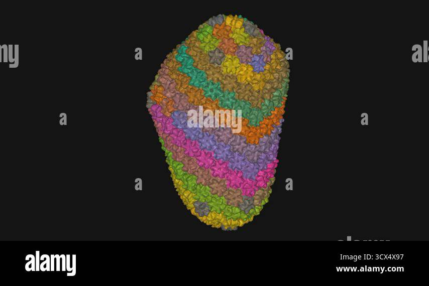 Retrovirus structure Stock Videos & Footage - HD and 4K Video Clips - Alamy