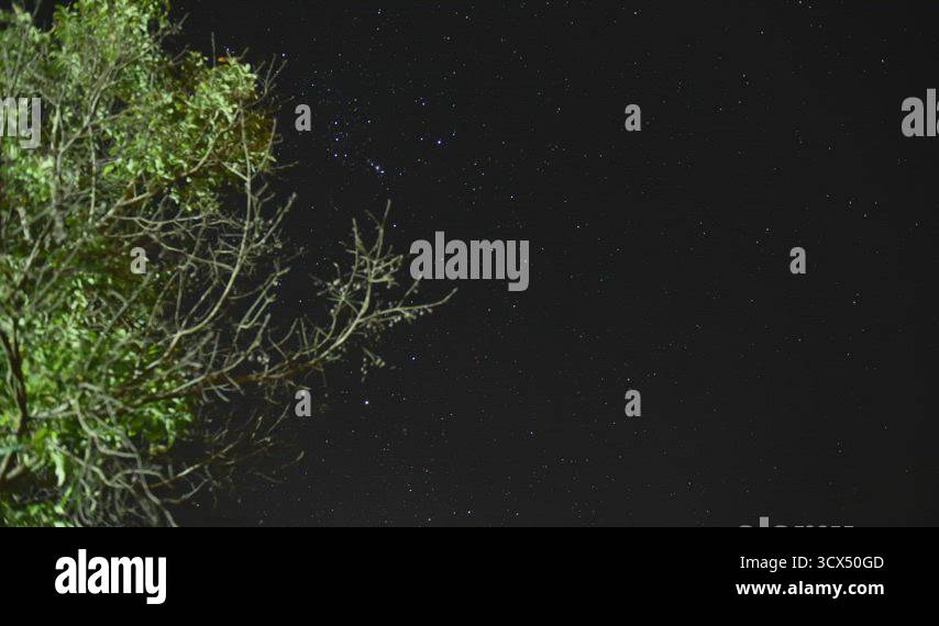 star Stock Video Footage - Alamy