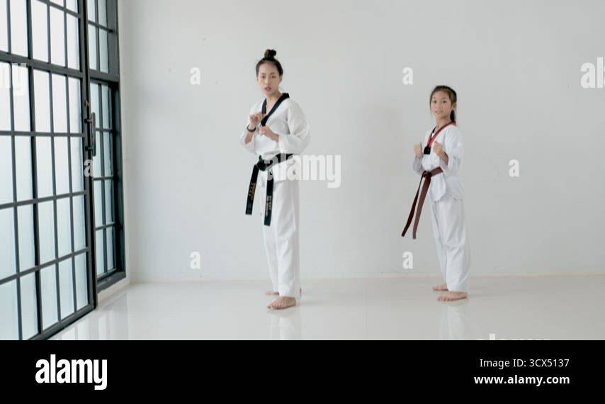 Front view of coach and young trainee action of front kick in gym with ...