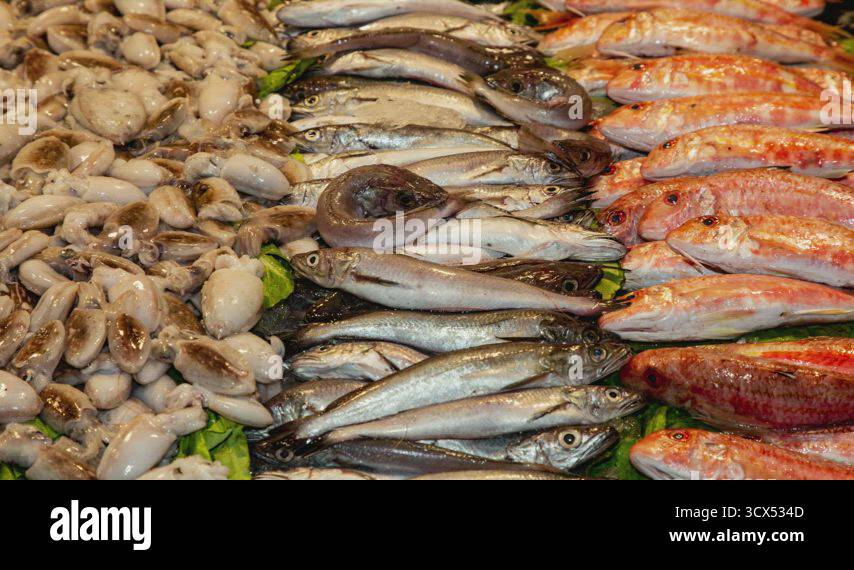 Different types of fish in ice Stock Video Footage - Alamy