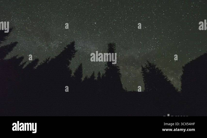 Milky Way is Rising Up over Conifer Trees. Night Starry Sky Time Lapse ...