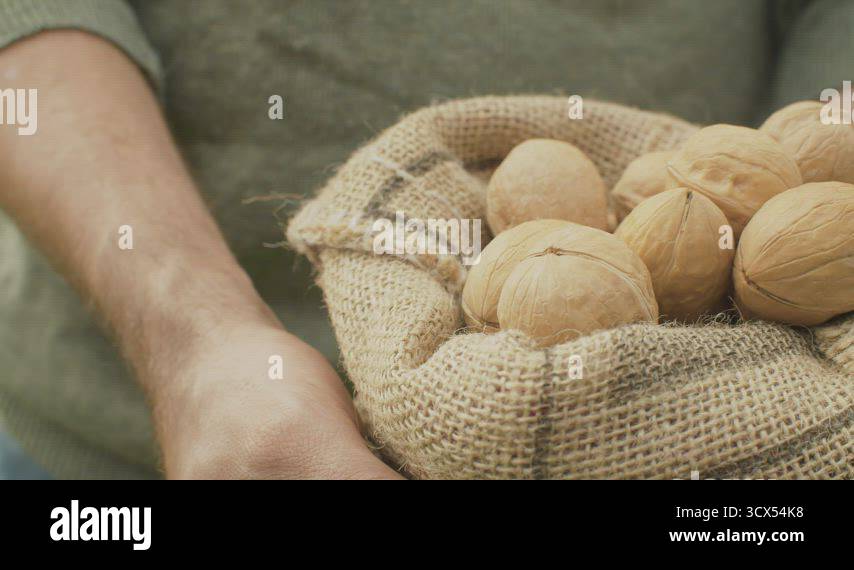 Walnuts on sack in Stock Videos & Footage - HD and 4K Video Clips - Alamy