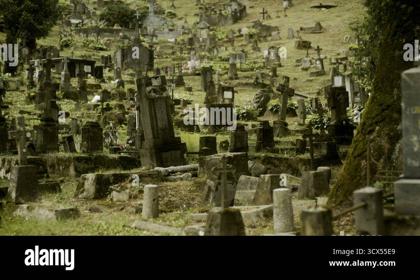 Spooky field graves headstones Stock Videos & Footage - HD and 4K Video ...