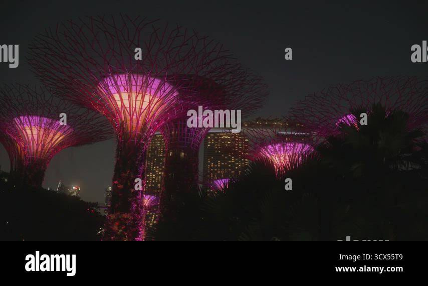 Beautiful light show supertree grove Stock Videos & Footage - HD and 4K ...