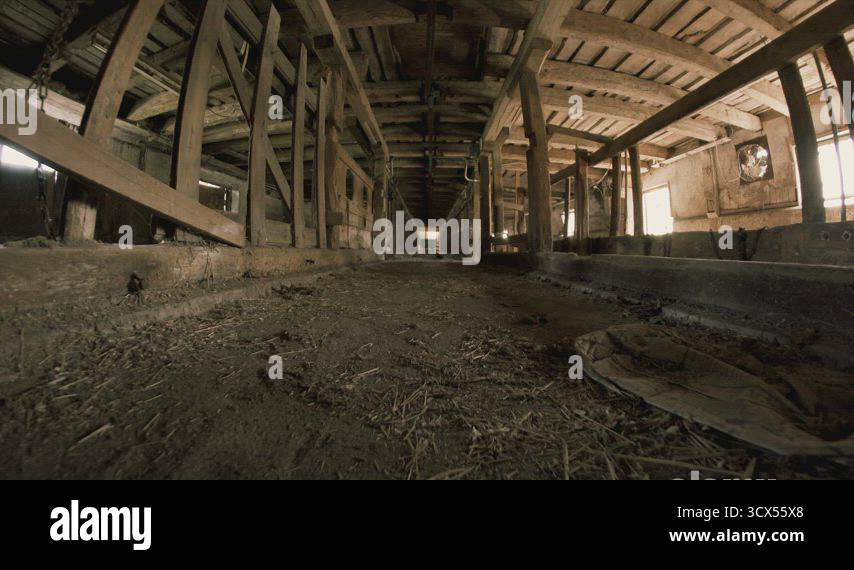 Creepy Animal Stables Wide Angle Stock Video Footage - Alamy