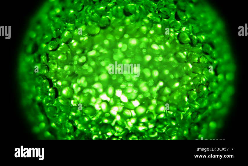 Rotating Green Glass Planet of Orbs Stock Video Footage - Alamy