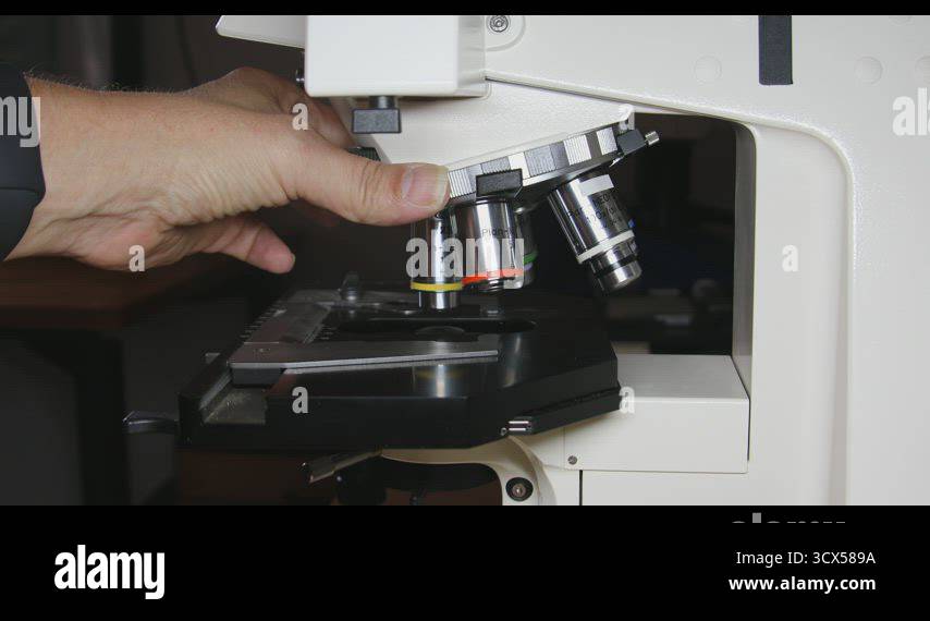the hand of a scientist turns the microscope revolver with objectives ...