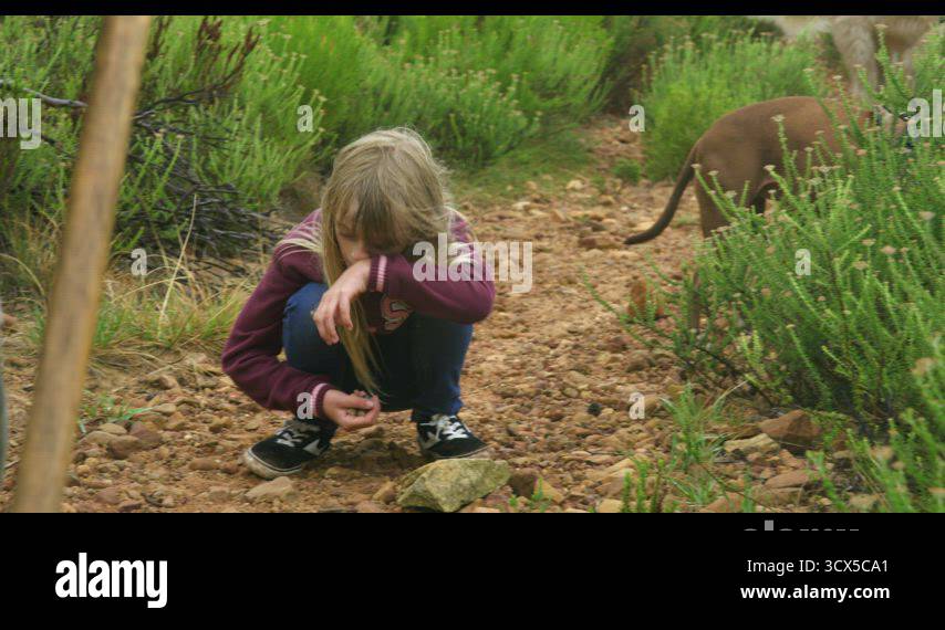 Crouching child two male Stock Videos & Footage - HD and 4K Video Clips ...