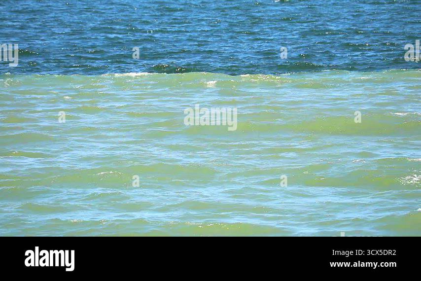 Two color sea water, The phenomenon of sea water depends on the fresh ...