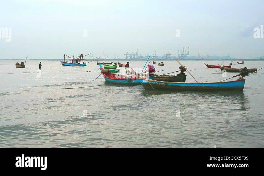 Fish red tide Stock Videos & Footage - HD and 4K Video Clips - Alamy
