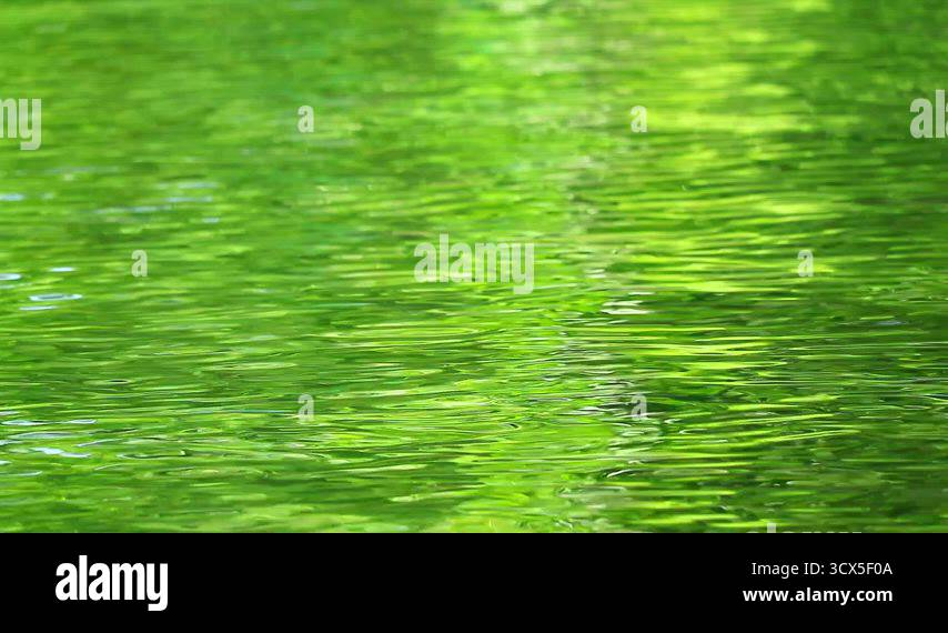 yellow green little wave moving on pond water surface Stock Video ...