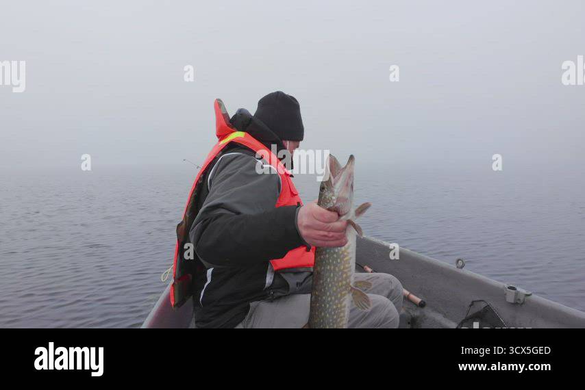 White man boasting pike fish catch in heavy fog on lake in Finland ...