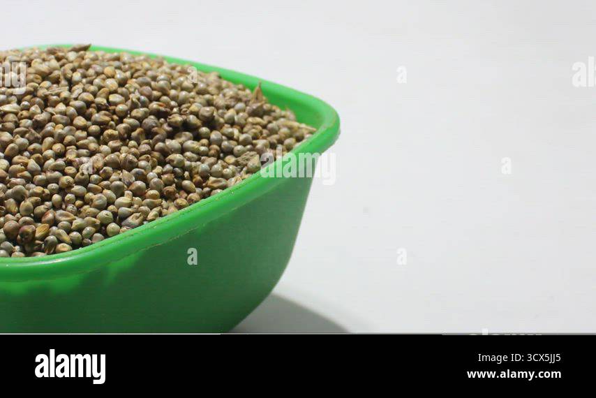 Pearl millet with selective focus Stock Video Footage - Alamy