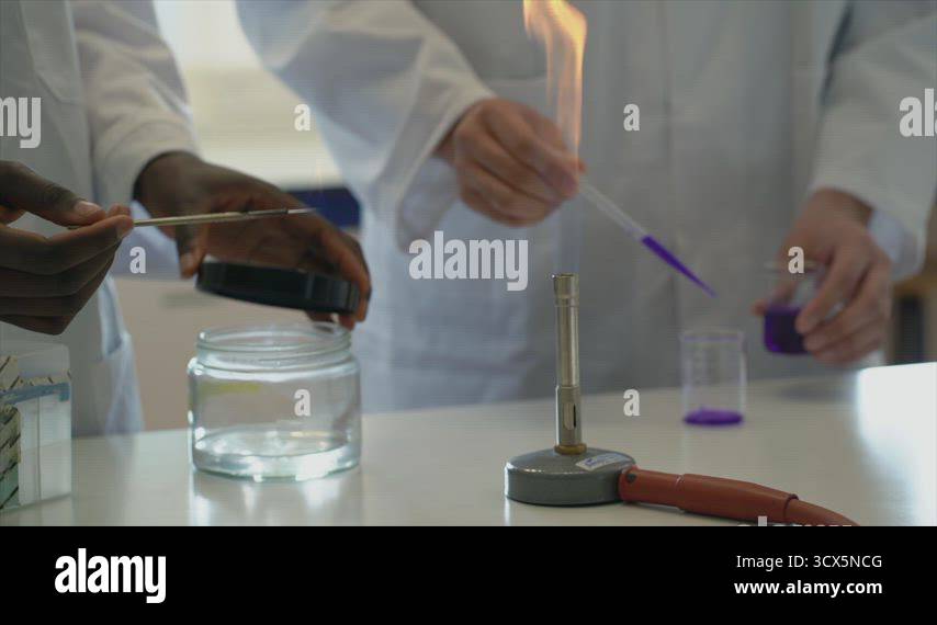 Two scientists working at a laboratory bench with a lit bunsen burner ...