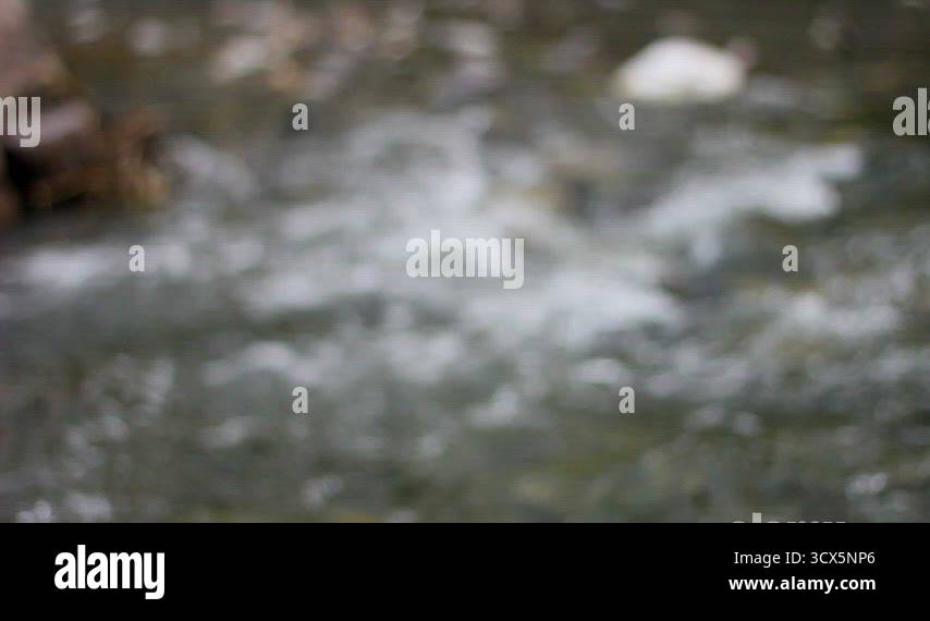 clean ganga water streaming in the rishikesh, uttar pradesh Stock Video ...