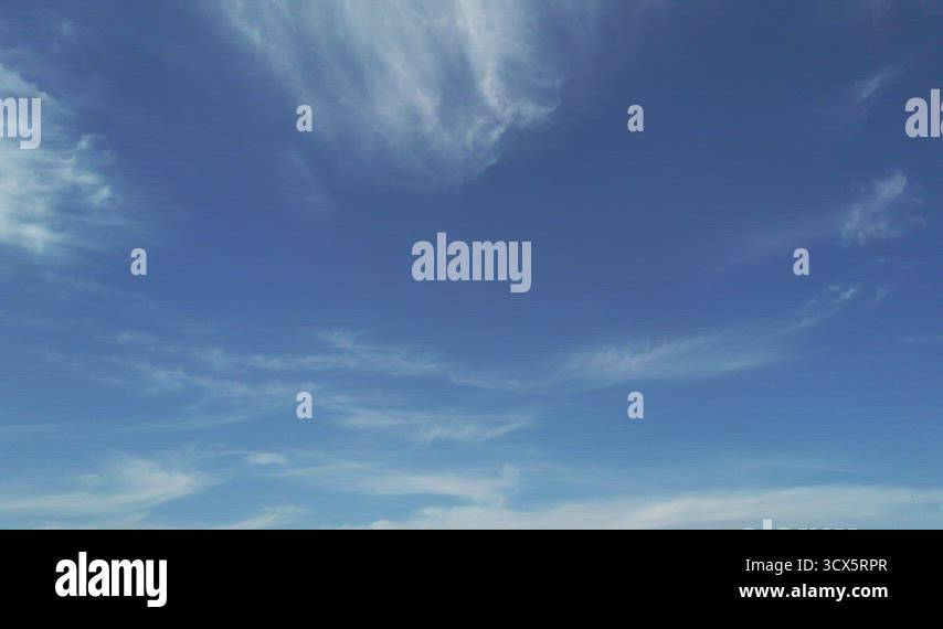 Single graduation cap flying in the air. Virtual graduation, social ...