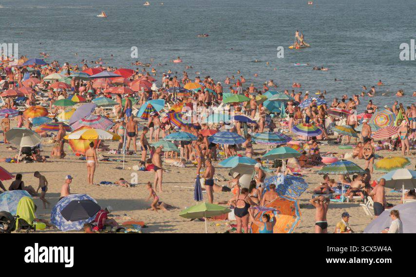 Crowdy beach Stock Videos & Footage - HD and 4K Video Clips - Alamy