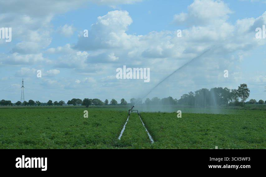Circular irrigation in a crop field with clouds moving quickly overhead ...