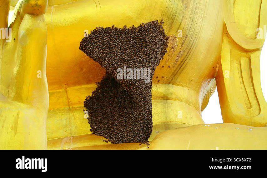 bee hive under gold buddha head and neck, amazing structure of animal ...