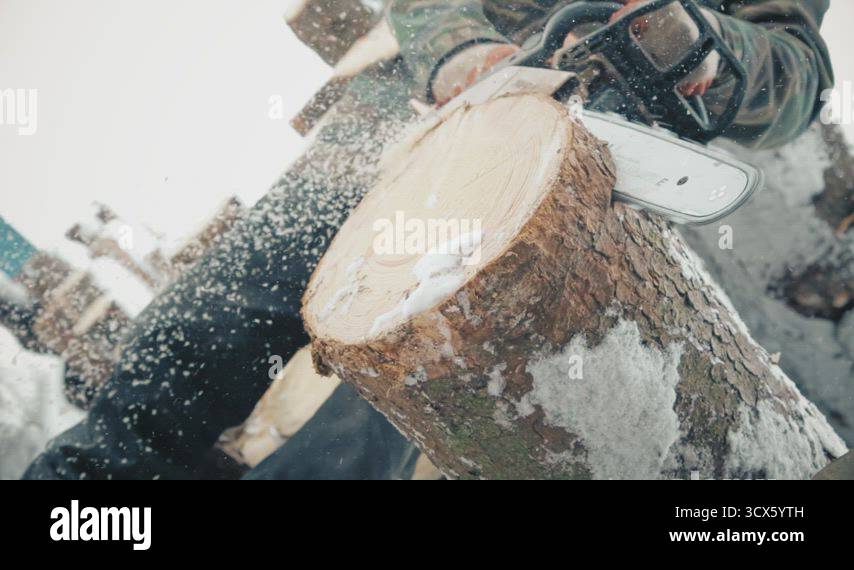 Man chainsaw sawing pine tree Stock Videos & Footage - HD and 4K Video ...