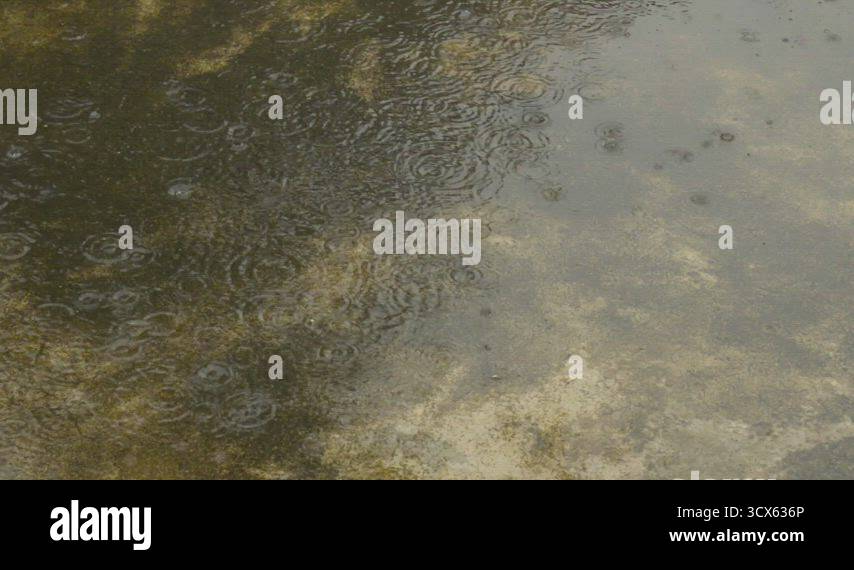 Monsoon Rain falling on the ground. Light Heavy Raindrops falling on ...