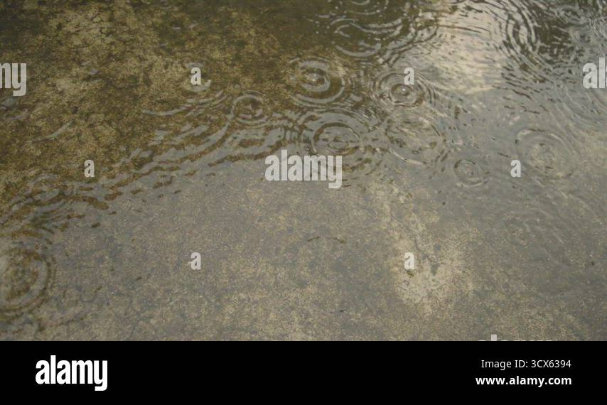 Monsoon Rain falling on the ground. Light Heavy Raindrops falling on ...