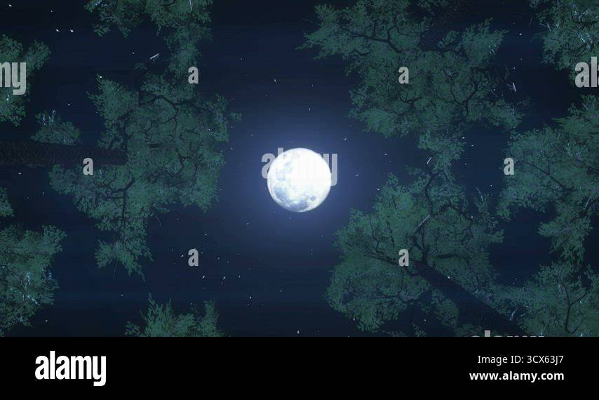 tree full moon night computer graphics Stock Video Footage - Alamy