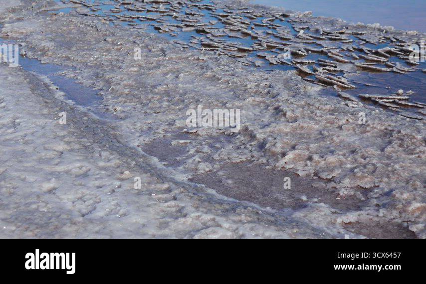 Kuyalnik estuary, Black Sea. Table salt in the form of round pancakes ...