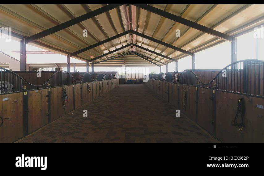 Inside view or horse stallion barn ranch. Aerial dolly shot at daytime ...