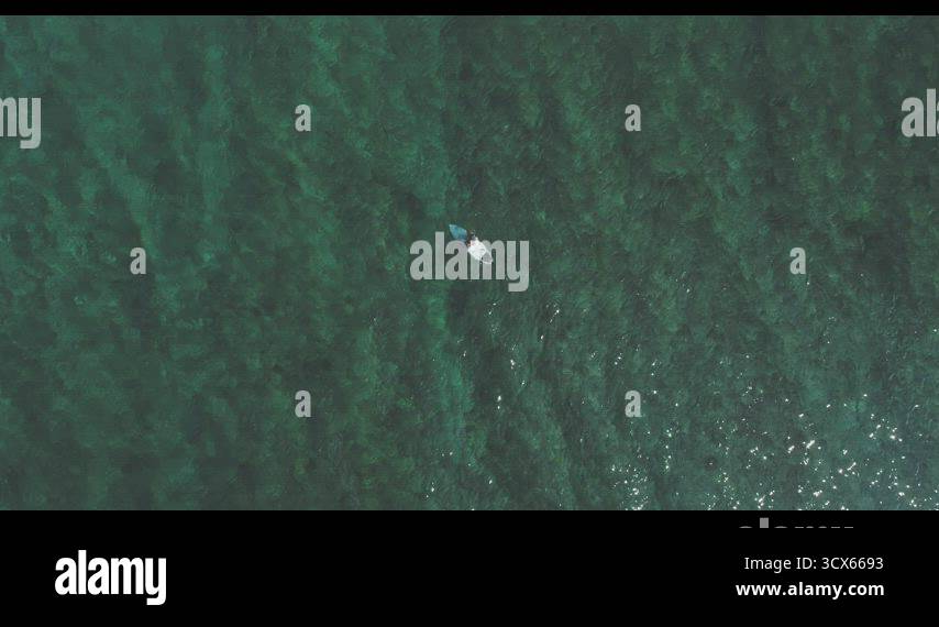 Top down aerial shot on surfers catching waves at the ocean. Bird eye ...