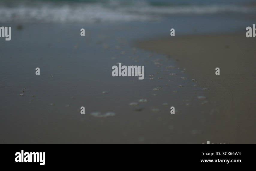 Low angle view and slow motion shot of sea shore with waves and sea ...