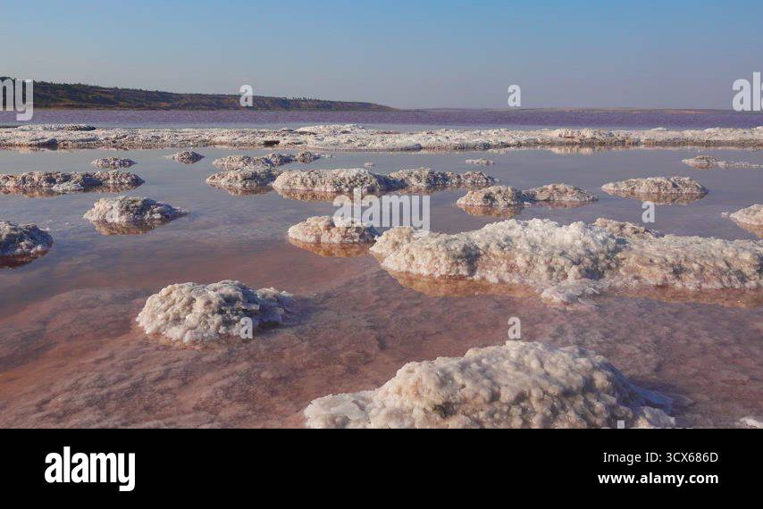 Salt lake, salt crystals. Self-settling salt covers the stones ...