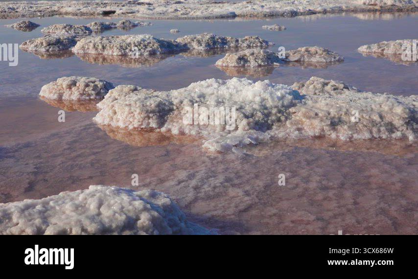 Salt lake, salt crystals. Self-settling salt covers the stones ...