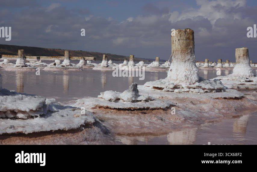Drying Kuyalnik estuary. Salt crystals on wooden pillars of an old 18th ...