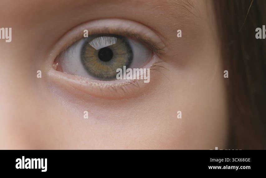Eye of Child Looking the Camera. Extreme Close-Up. Stare at Something ...