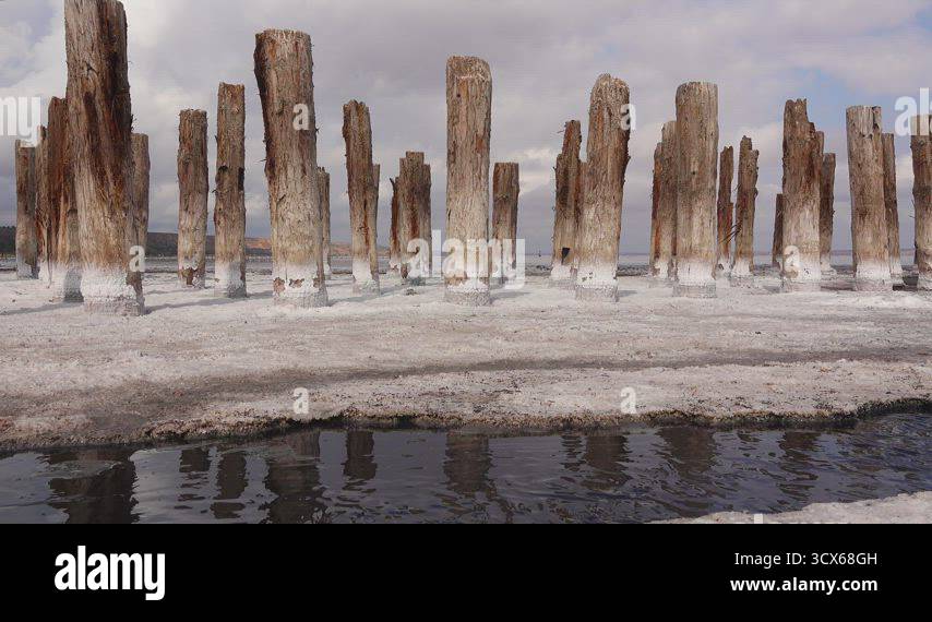 Drying Kuyalnik estuary. Salt crystals on wooden pillars of an old 18th ...