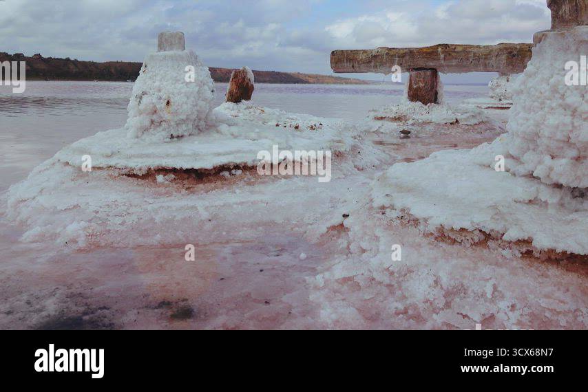 Drying Kuyalnik estuary. Salt crystals on wooden pillars of an old 18th ...