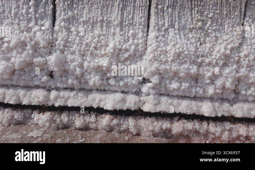 Drying Kuyalnik estuary. Crystals of self-precipitating salt on old ...