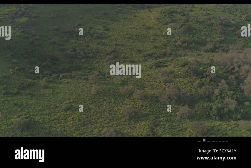 Aerial shot at sunset above Golan Heights and Taiberia in North of ...